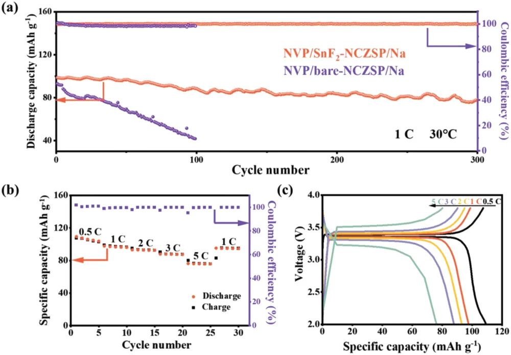 南开大学 周震&郑州大学 唐宾AFM | SnF2诱导的用于固态钠电池的高电流耐受性固体电解质